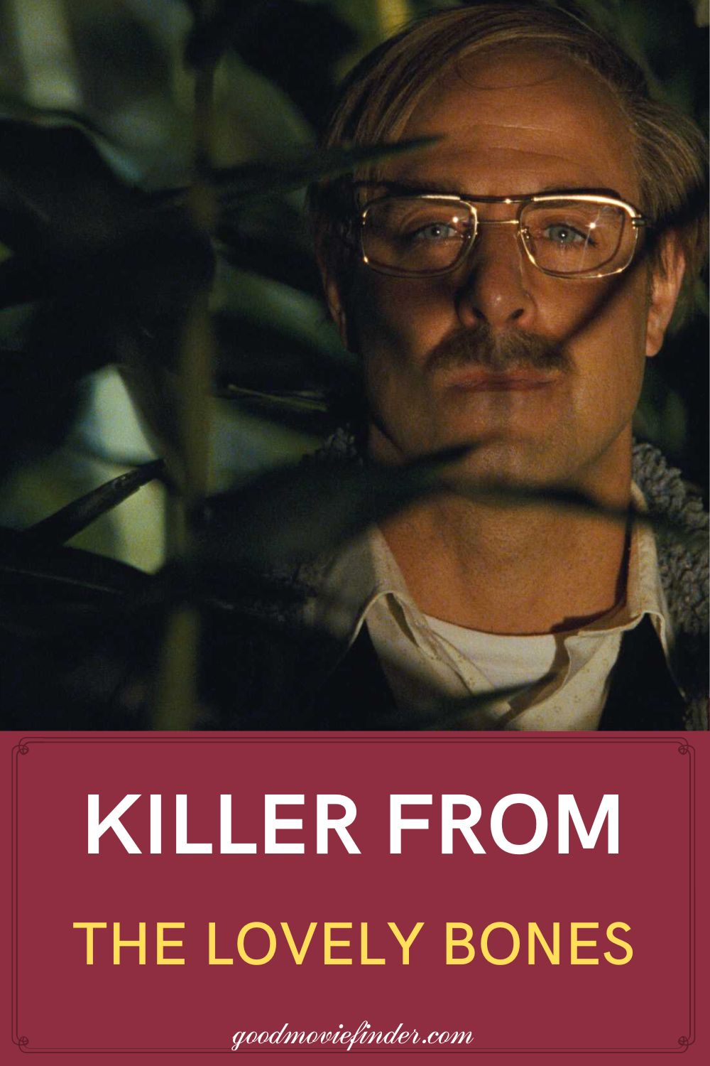 The Lovely Bones movie summary. Where is Susie`s body? - Good Movie Finder